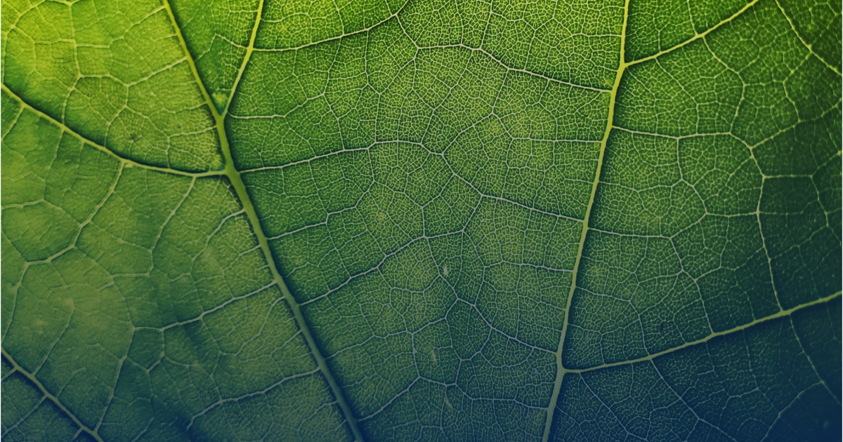 Our Sustainability Commitment | Amrop Slovakia