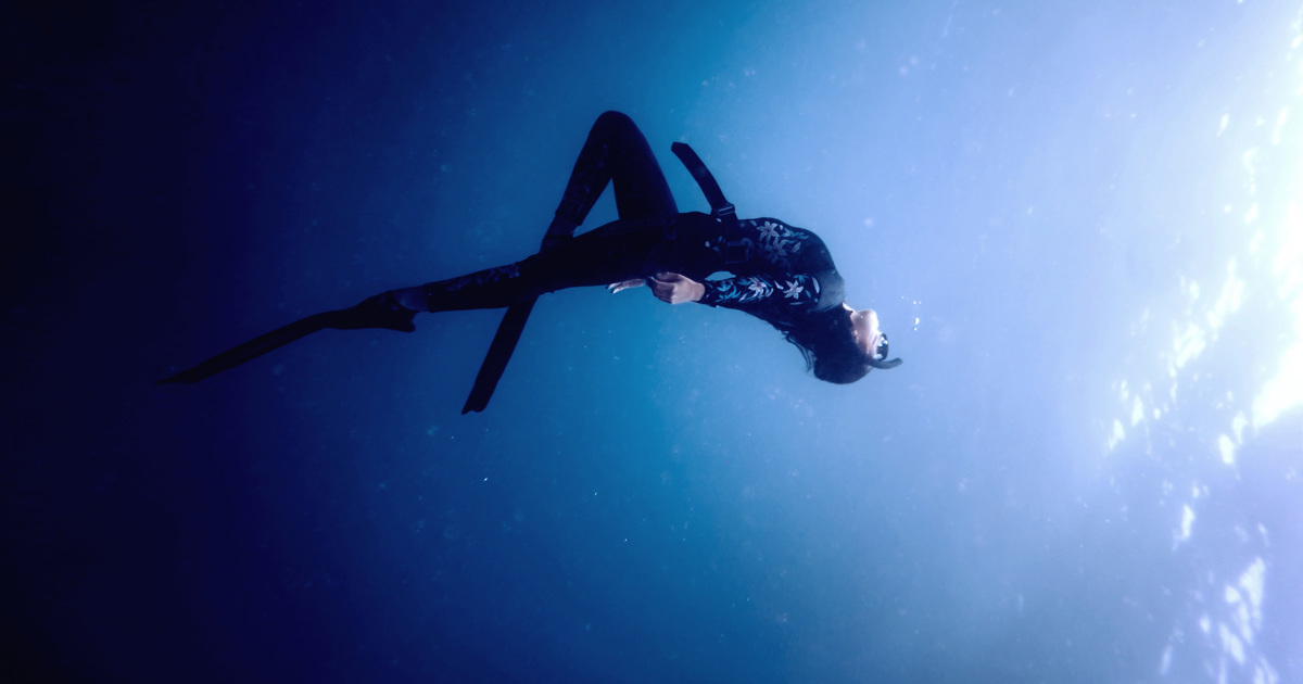 Defense | Amrop Industries