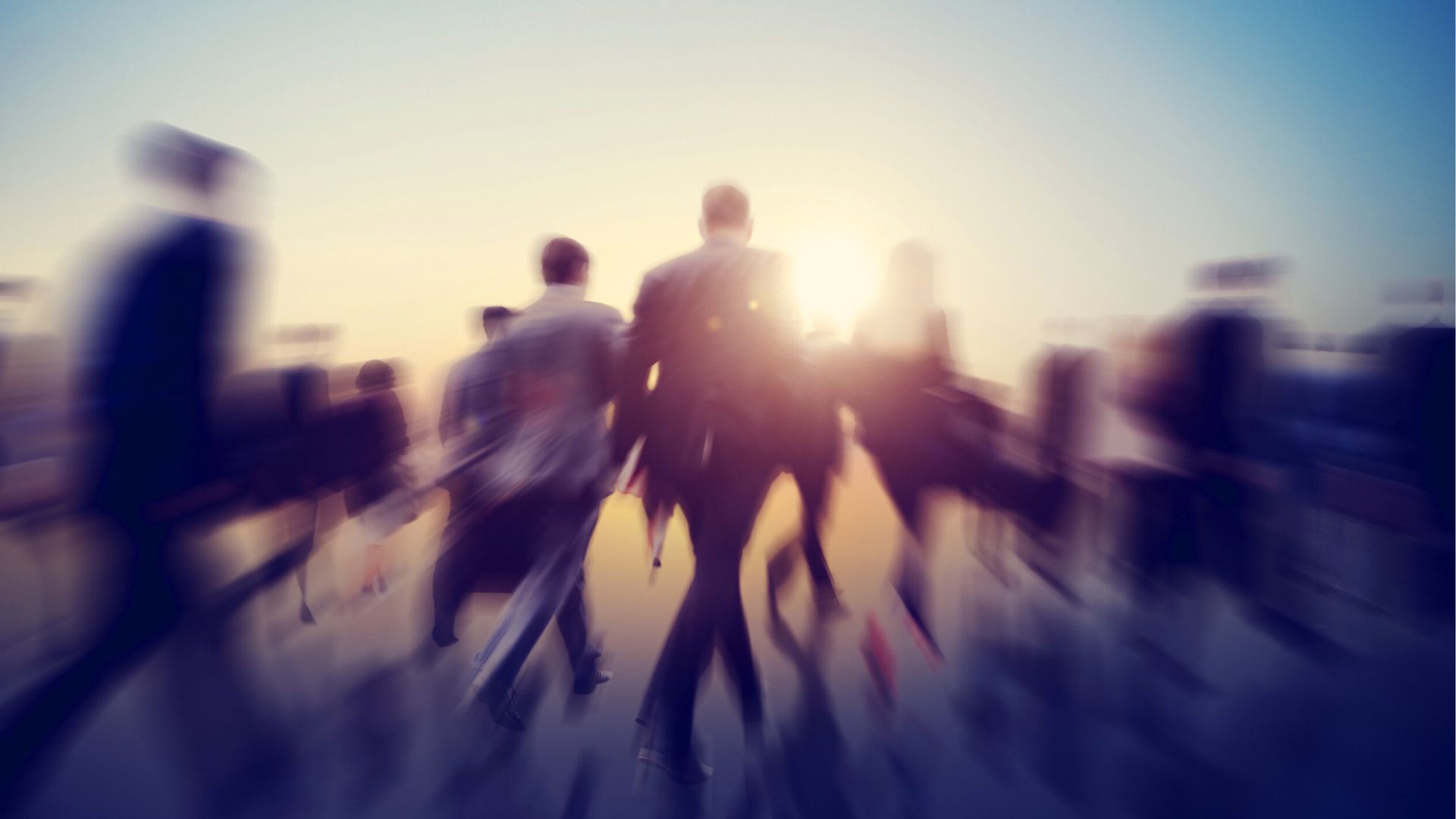 What we do | Executive Search Services Amrop
