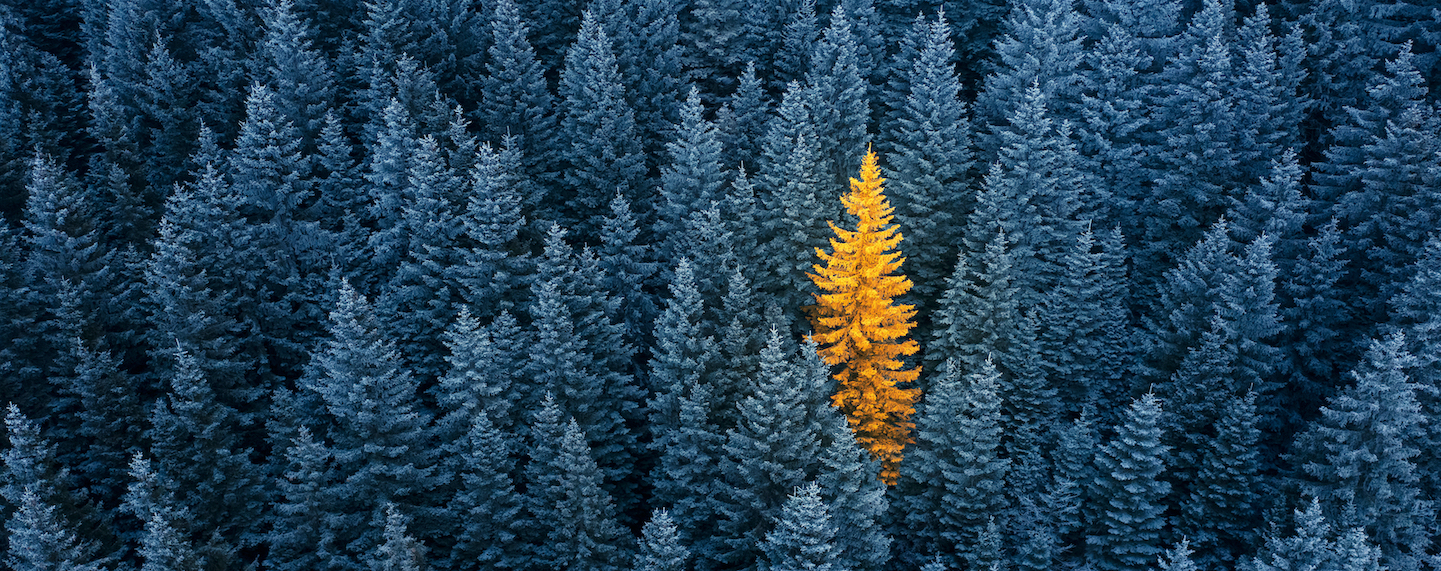 Send Us Your CV | Amrop Austria