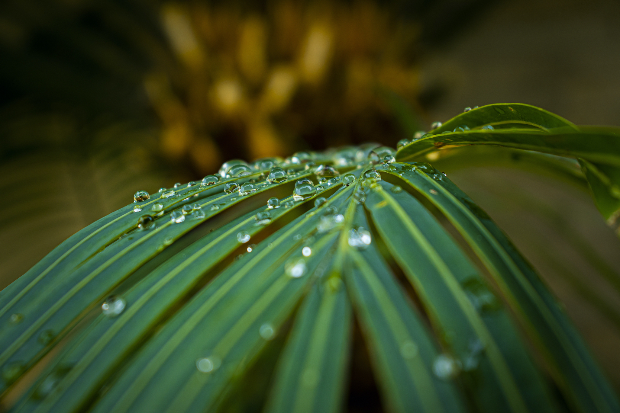 Our Sustainability Commitment | Amrop