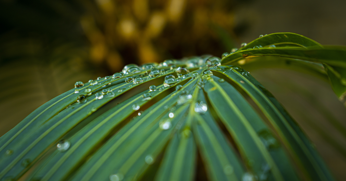 Our Sustainability Commitment | Amrop