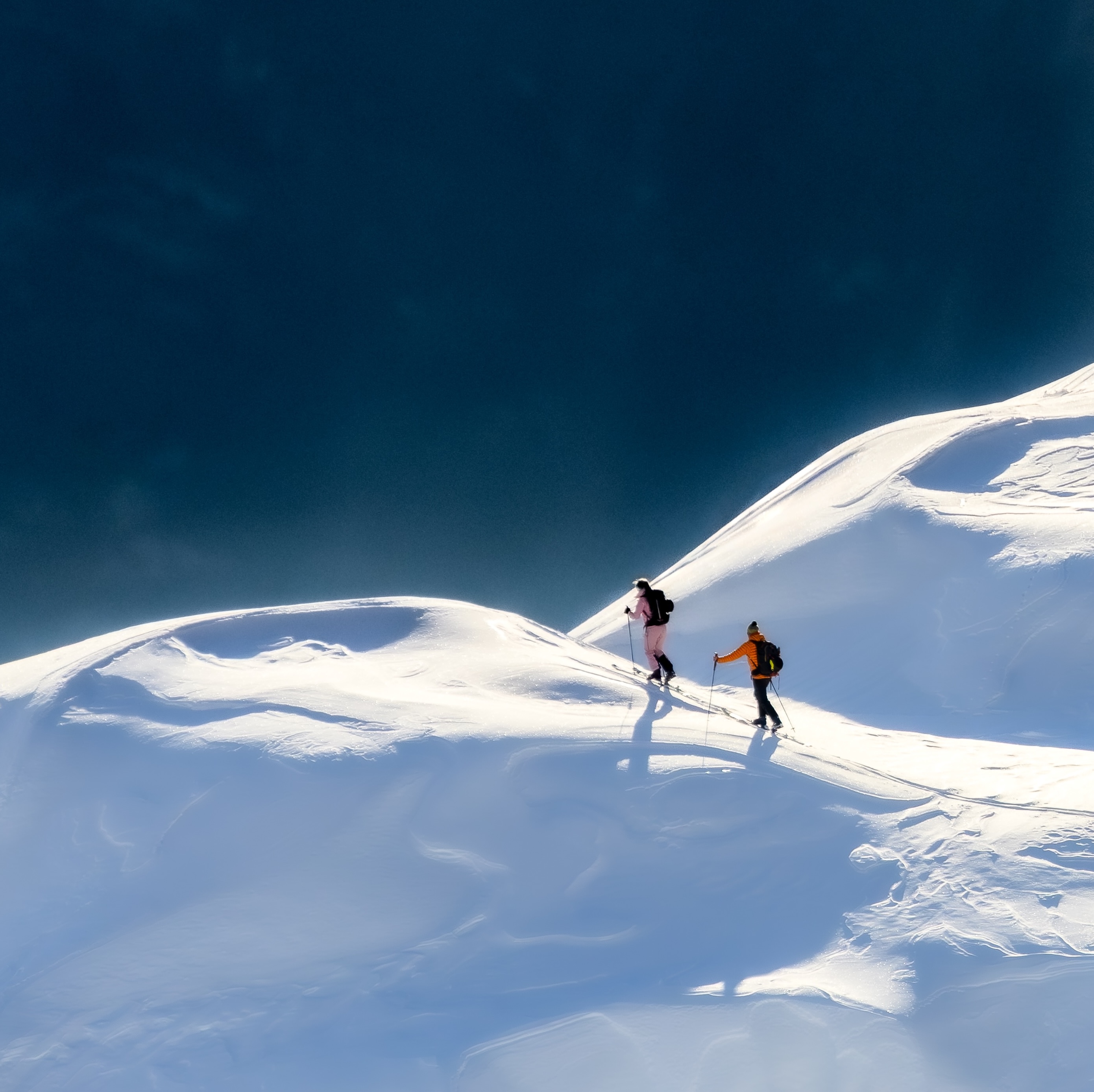 Executive Search Firm & Board Leadership Recruitment | Amrop